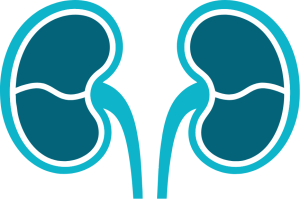 Pyeloscopy - UroMed South Brisbane